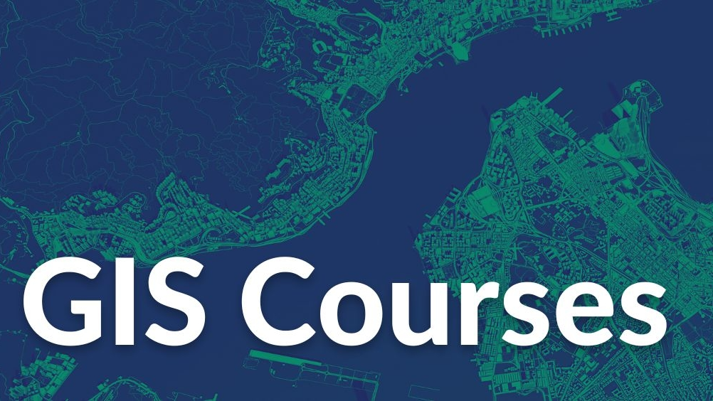 GEO INFORMATICS COURSES